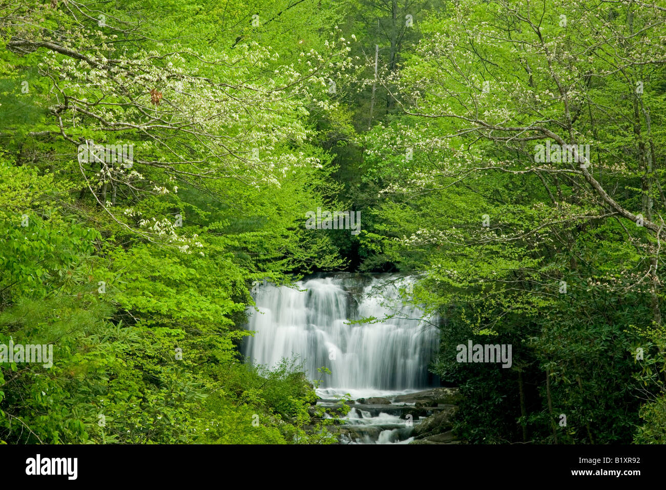 Meigs Falls Spring Great Smoky Mountains National Park TN Stock Photo ...