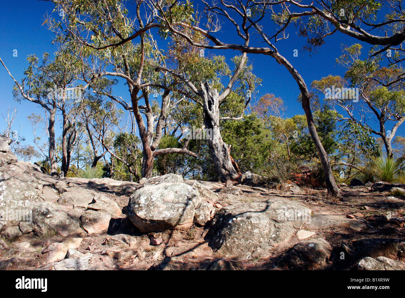 Australia grampians hi-res stock photography and images - Alamy