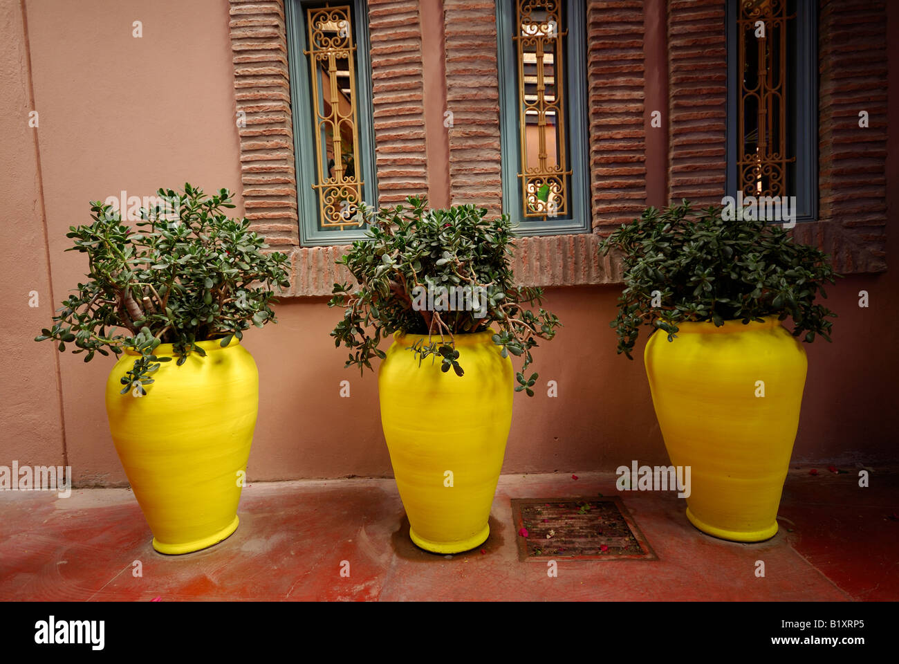 3 yellow pots, Marrakesh Stock Photo - Alamy
