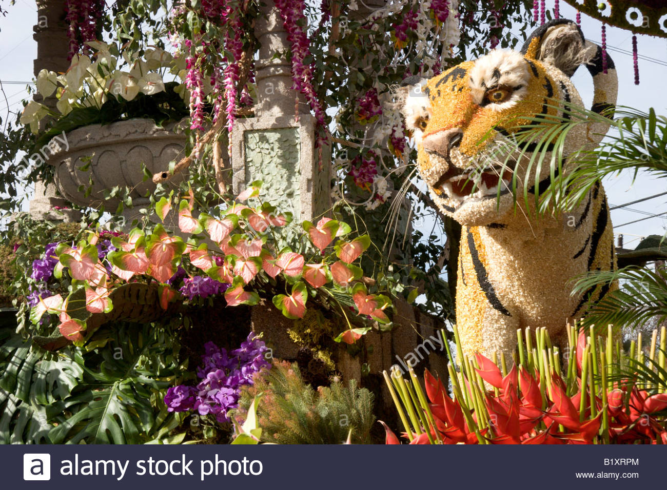 Rain Bird High Resolution Stock Photography and Images - Alamy