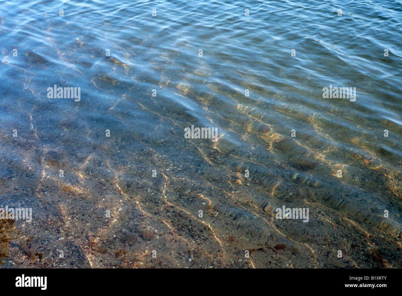 Clear water in a lake Stock Photo - Alamy