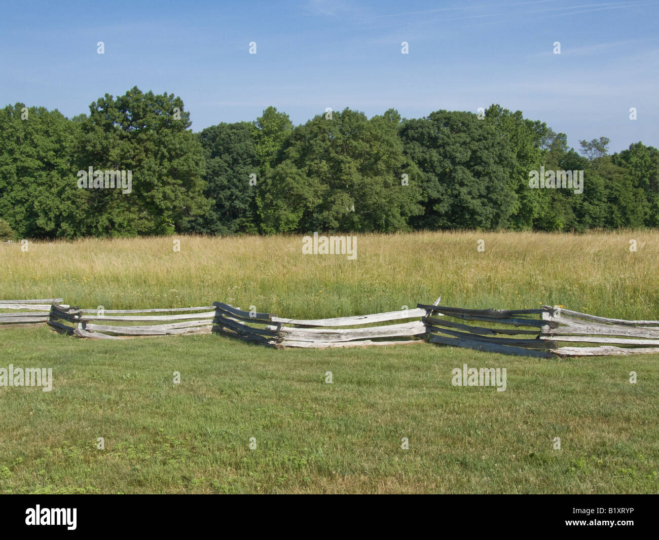 Old treeline hi-res stock photography and images - Alamy