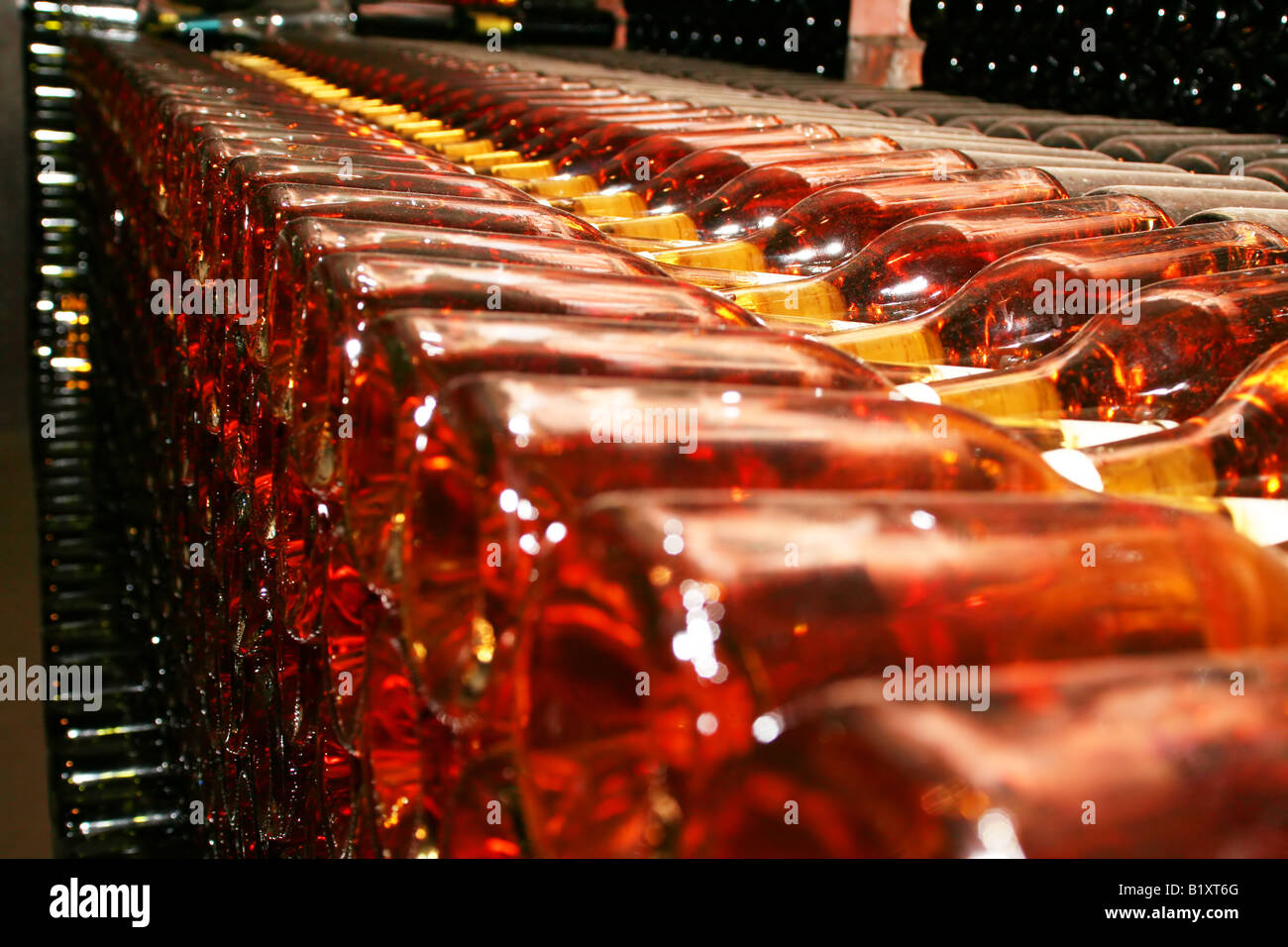 Many wine bottles in cellar Stock Photo - Alamy