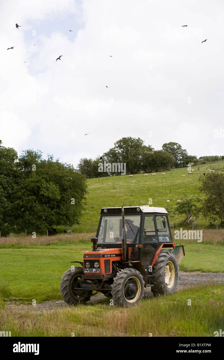 UK Wales Powys Rhayader Gigrin Farm Farmer Chris Powell in tractor ...