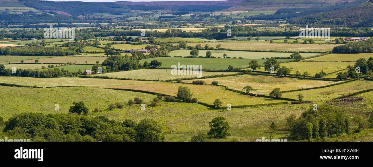 Looking east from Clay Bank over Yorkshire farmland to the Cleveland ...