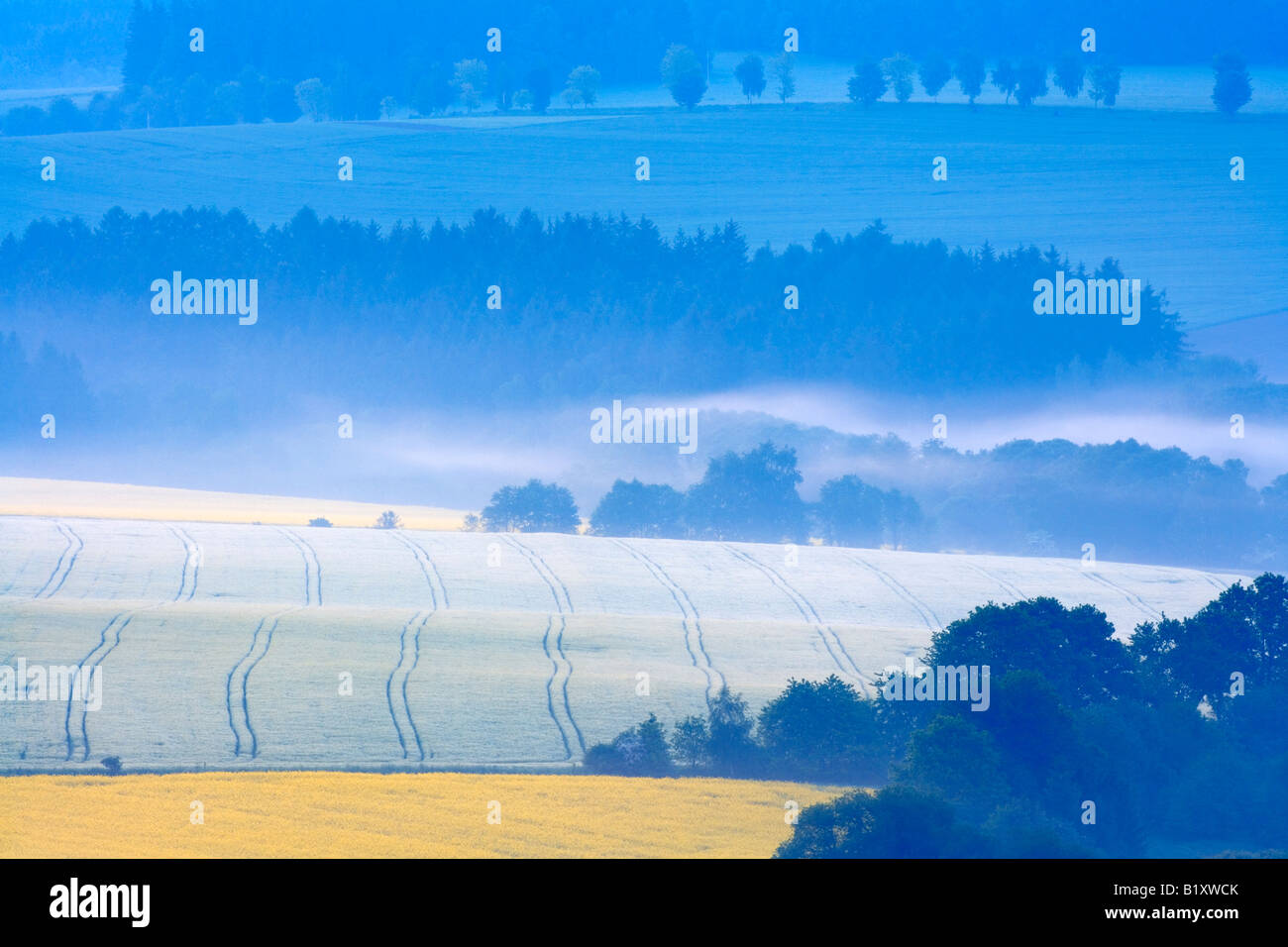 LANDSCAPE IN MORNING MIST Stock Photo - Alamy
