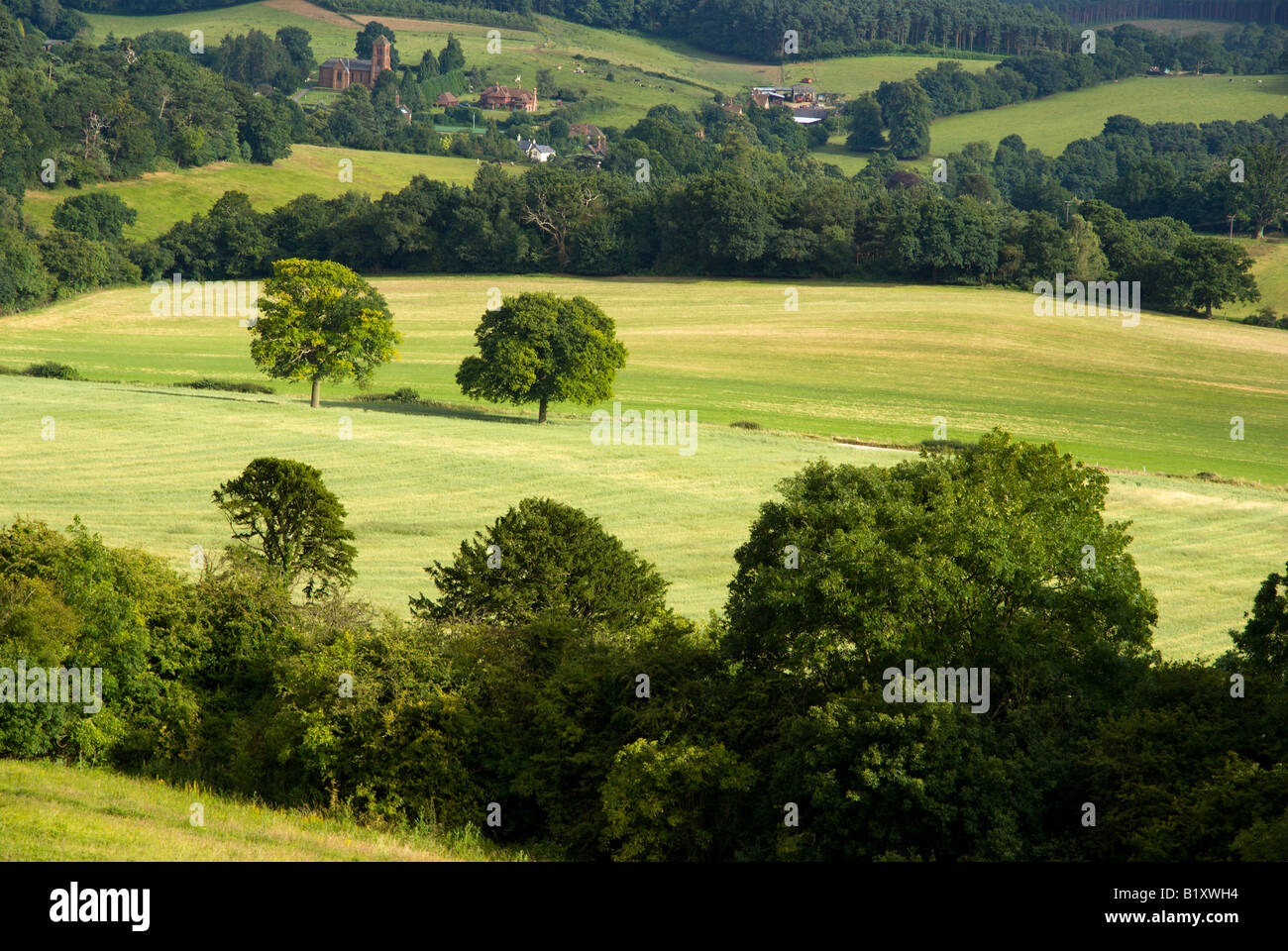 View of the Surrey Hills Stock Photo - Alamy