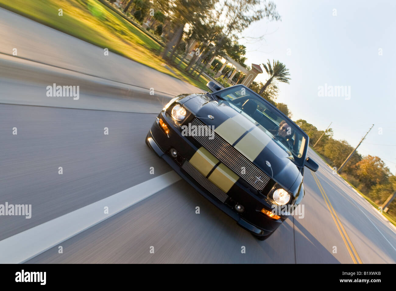 A Shelby Mustang GT H driving at speed Stock Photo - Alamy