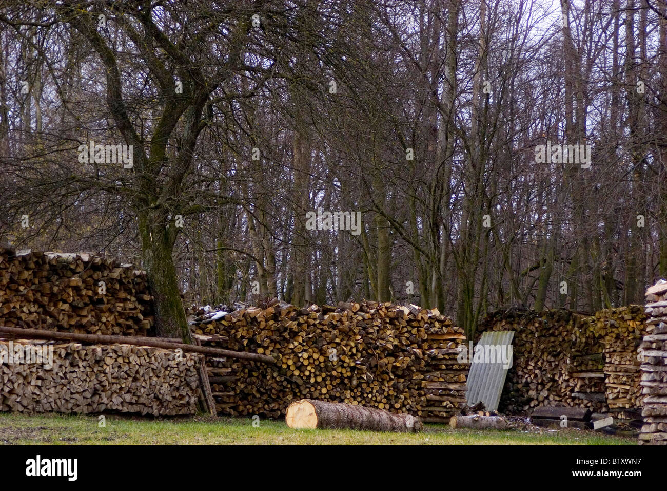 Austria Perbersdorf Hotel Resch wood logs for an old chimney Stock ...