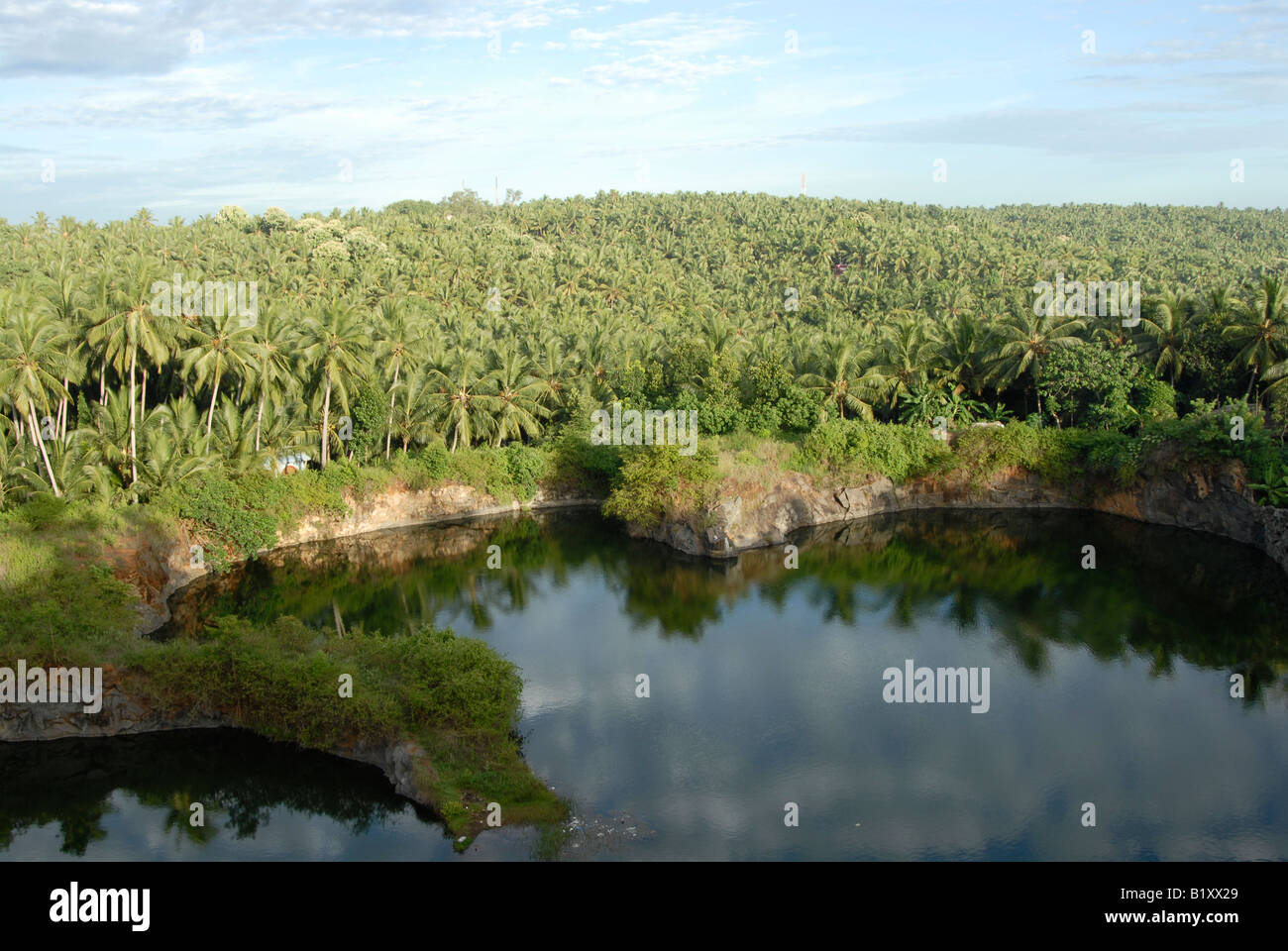 Pond and coconut hi-res stock photography and images - Alamy