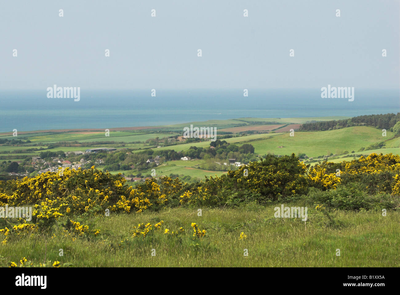 Looking south over to Brighstone Bay from Limerstone Down above the ...
