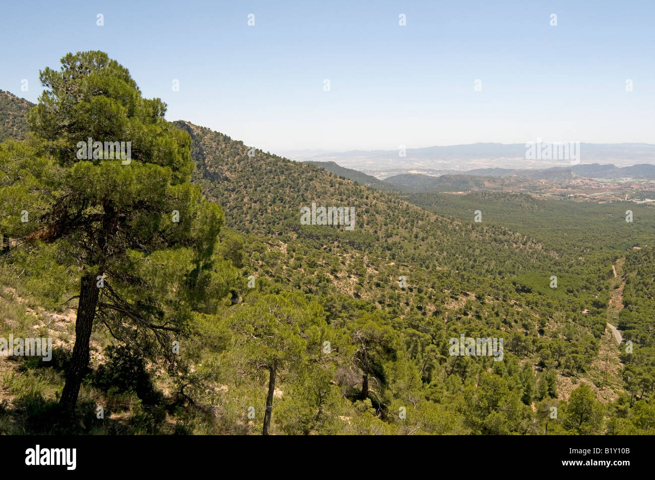 The espuna regional park hi-res stock photography and images - Alamy