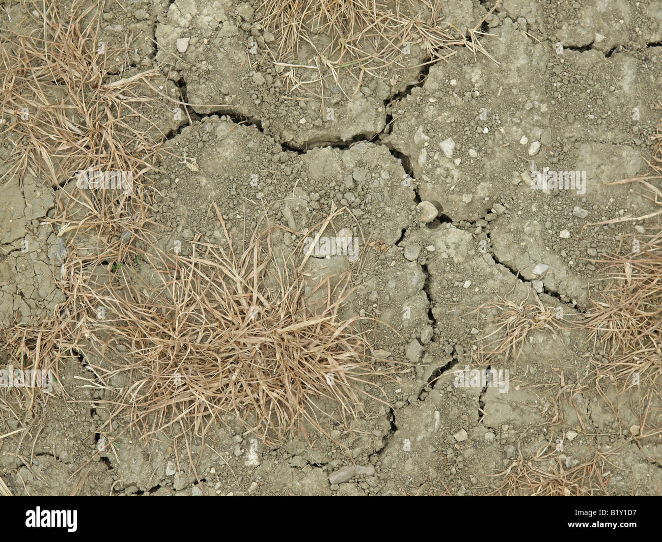 Soil disruption hi-res stock photography and images - Alamy