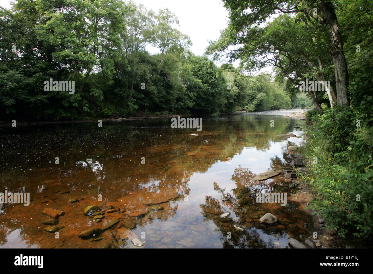 The fast flowing salmon fishing river North Esk near Gannochy, Angus ...
