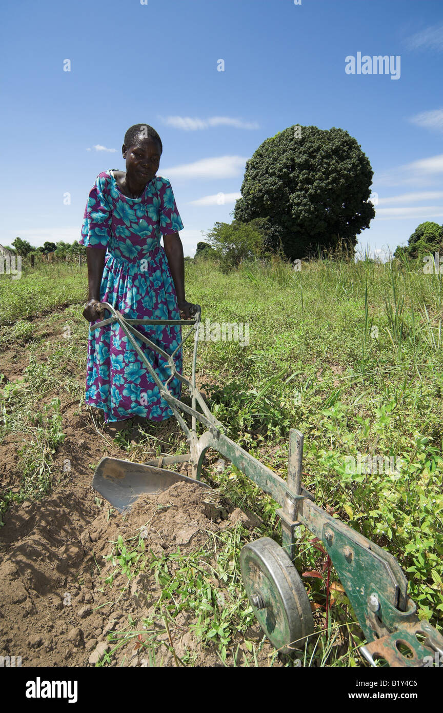 Hand plough hi-res stock photography and images - Alamy