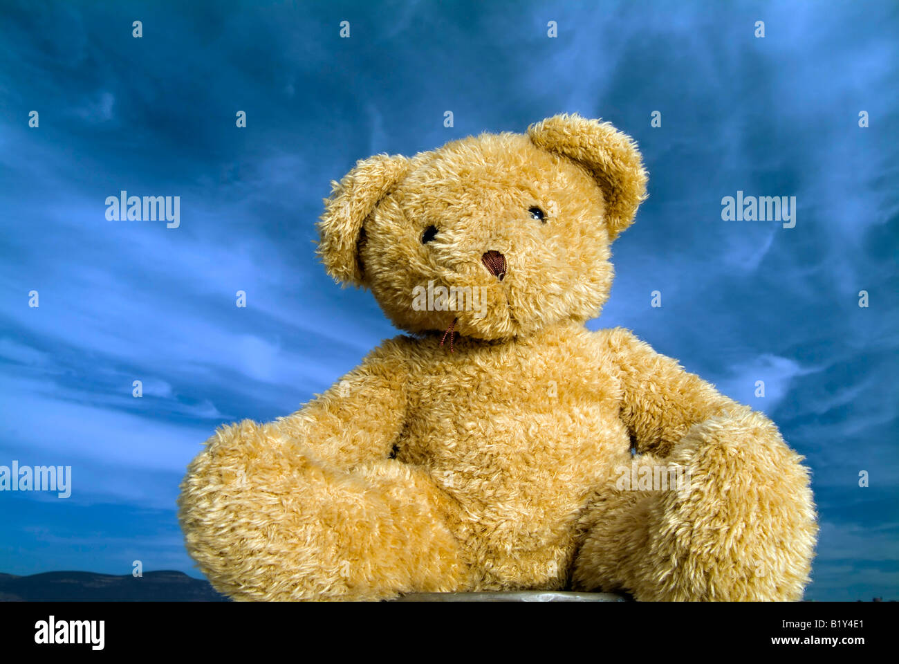 Teddy bear agaist blue sky with cirrus clouds Stock Photo - Alamy