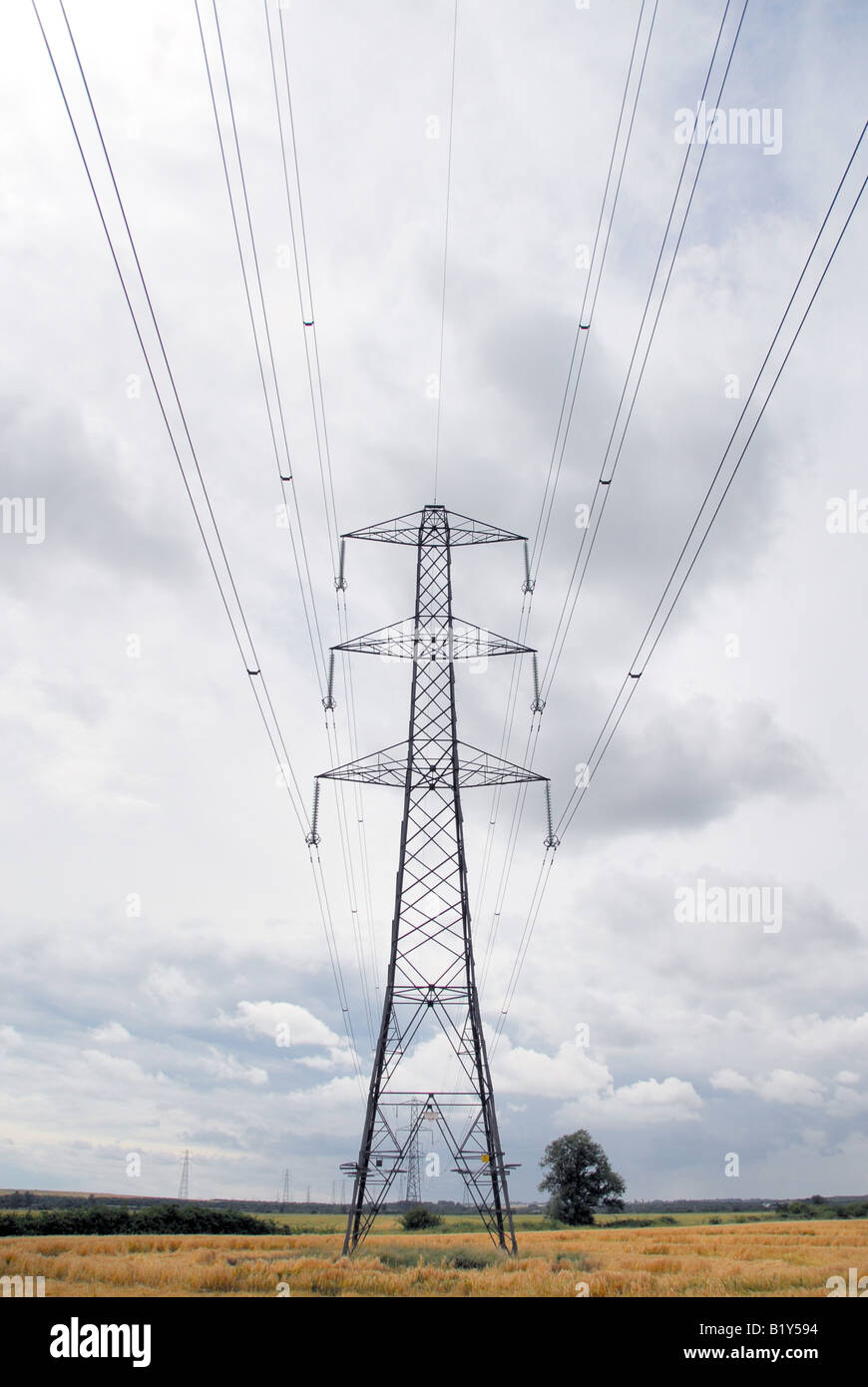 Pylon in cornfield Essex Stock Photo - Alamy