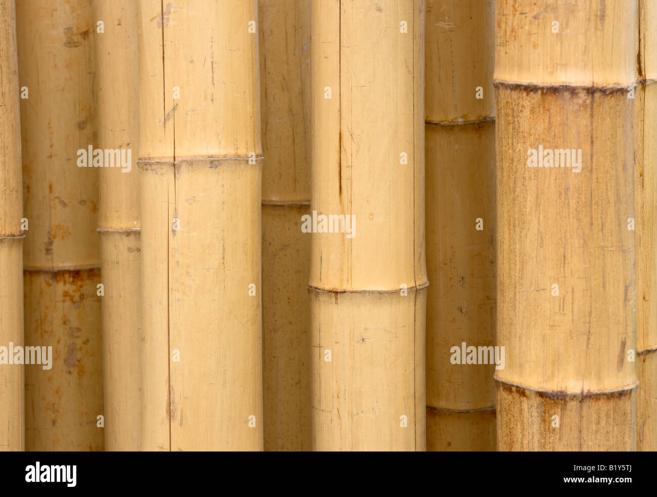 Solid bamboo hi-res stock photography and images - Alamy