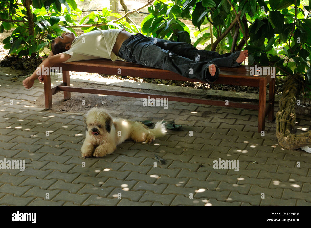 man and his best friend, having afternoon nap Stock Photo - Alamy