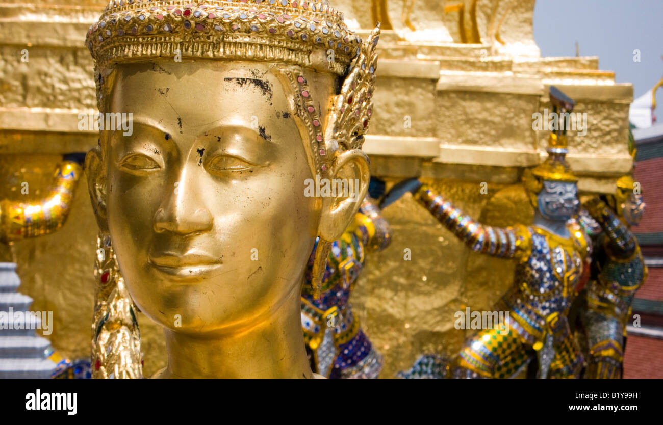 Half Horse Half Monkey