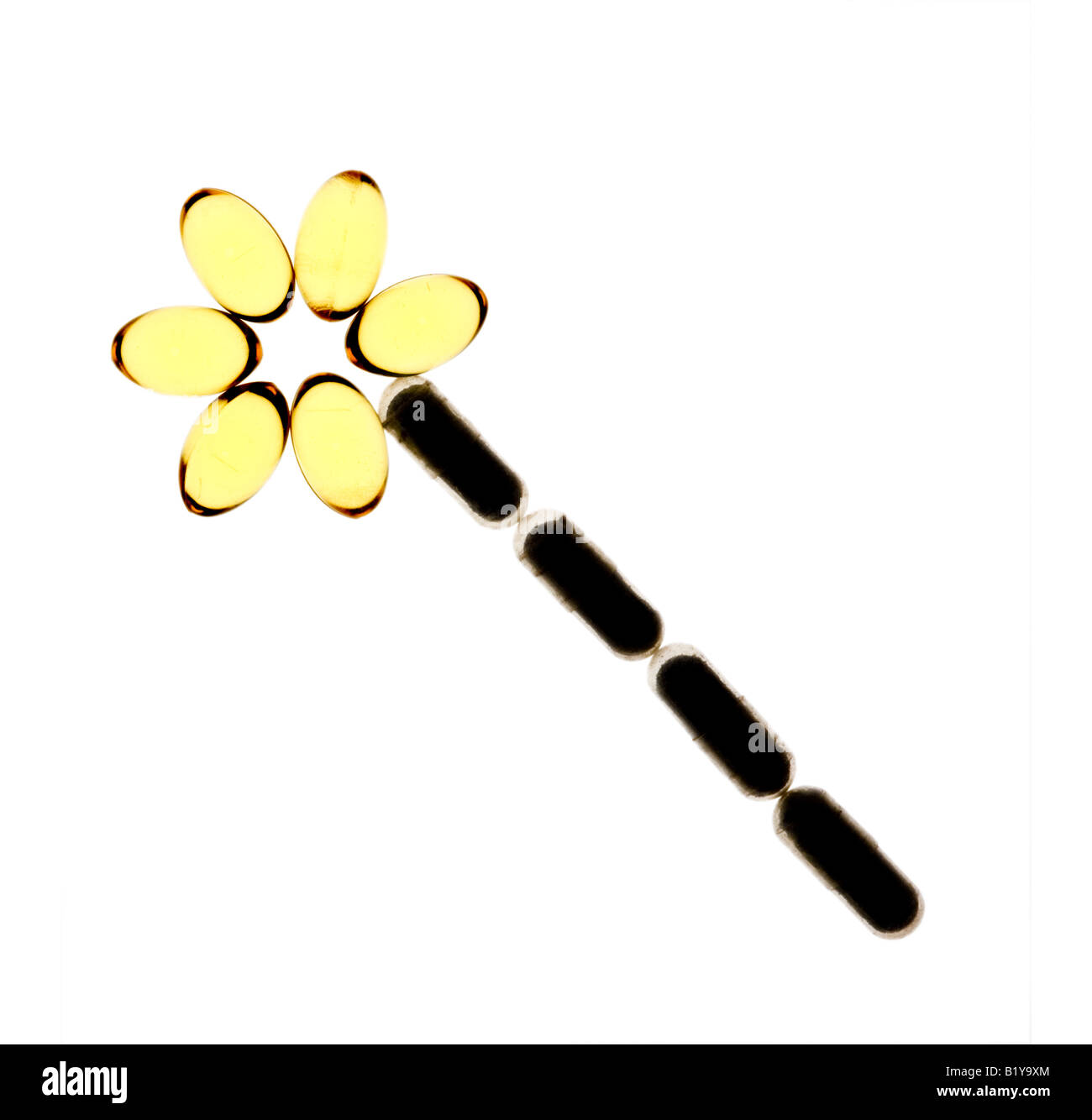 omega oil, omega 3 capsules and arranged in shape of a flower Stock ...