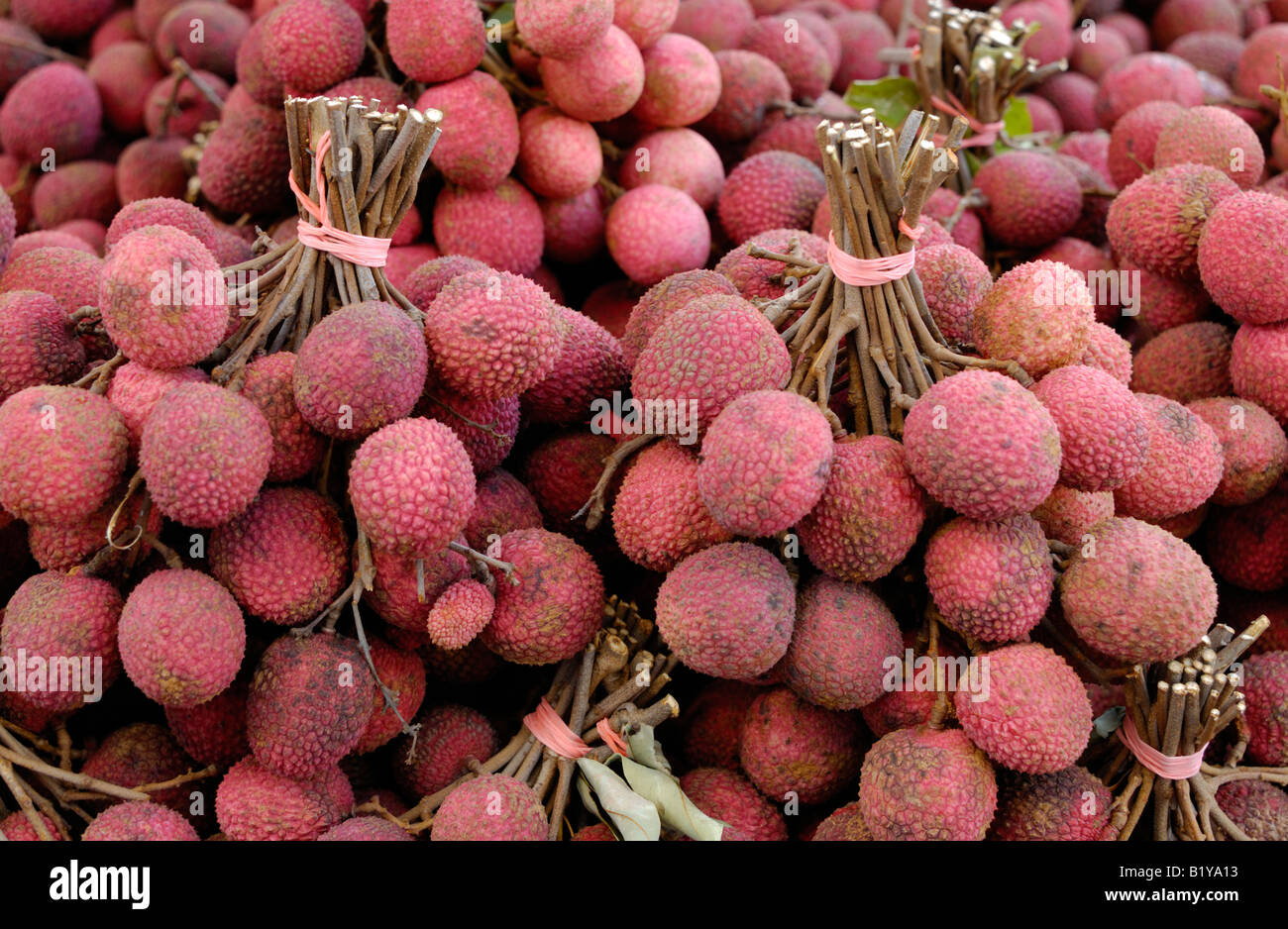 Asian lychee hi-res stock photography and images - Alamy