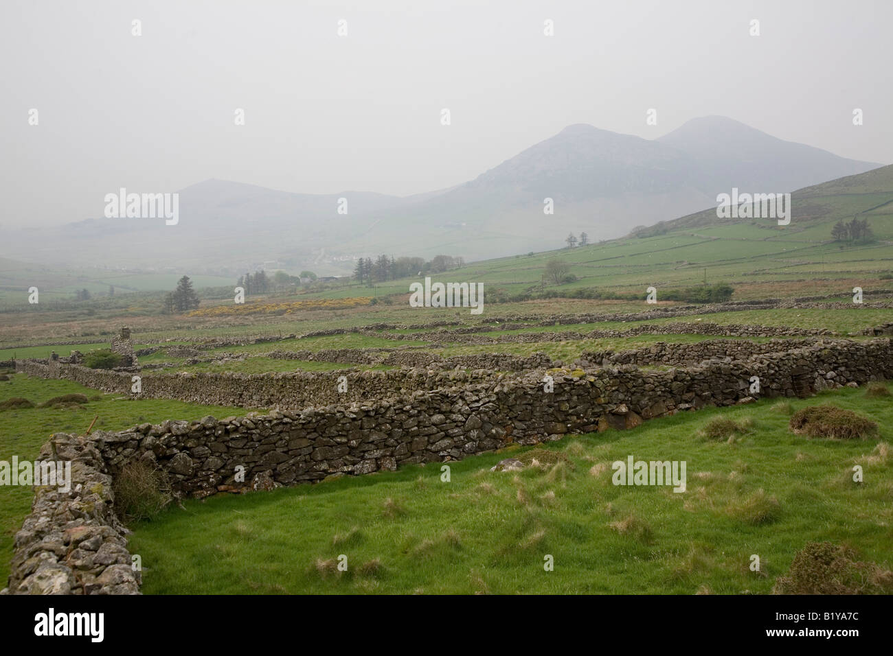Fields near Clynnog Fawr, Wales Stock Photo - Alamy