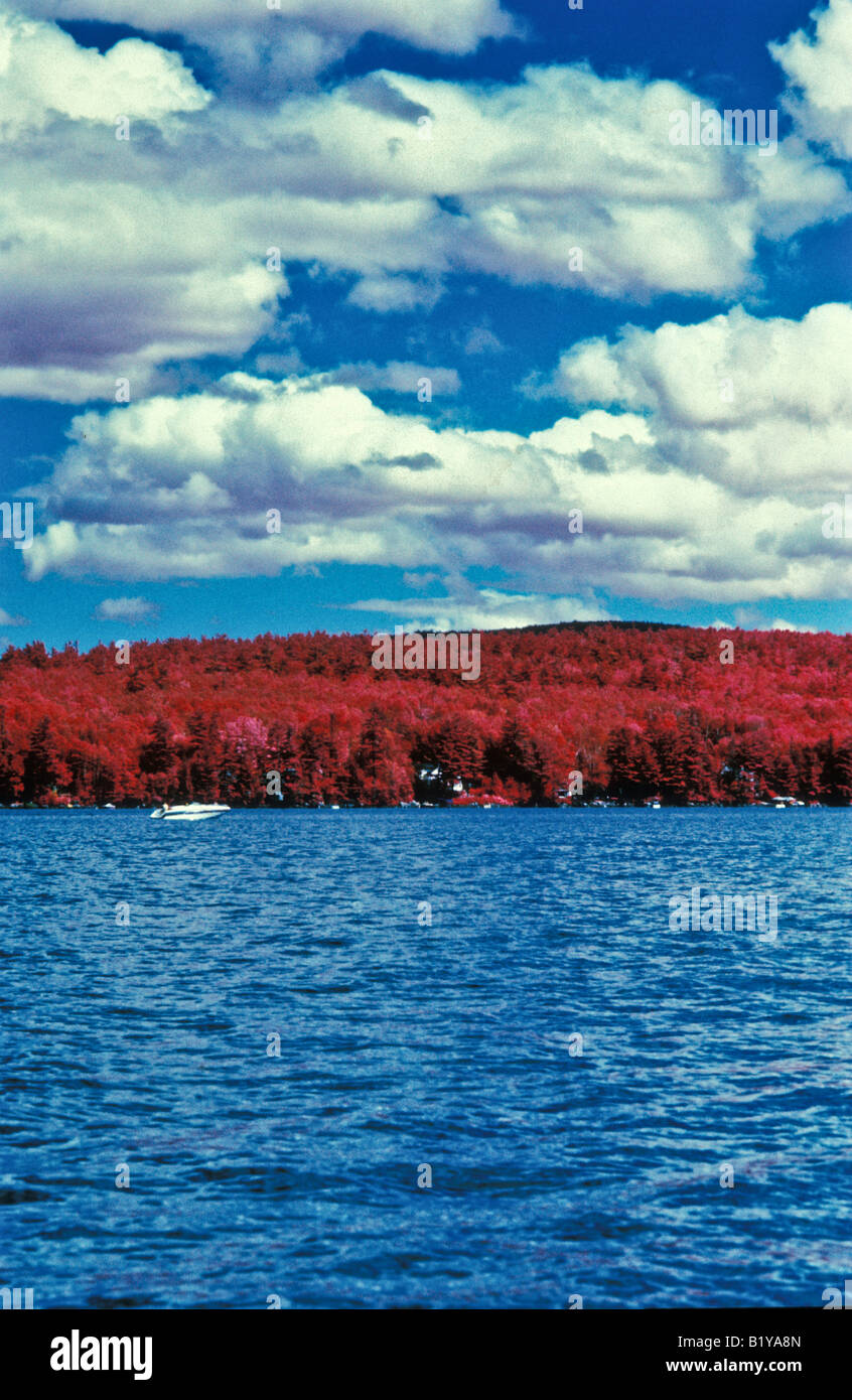 abstract infrared color fall autumn foilage tree colorful lake sunapee ...