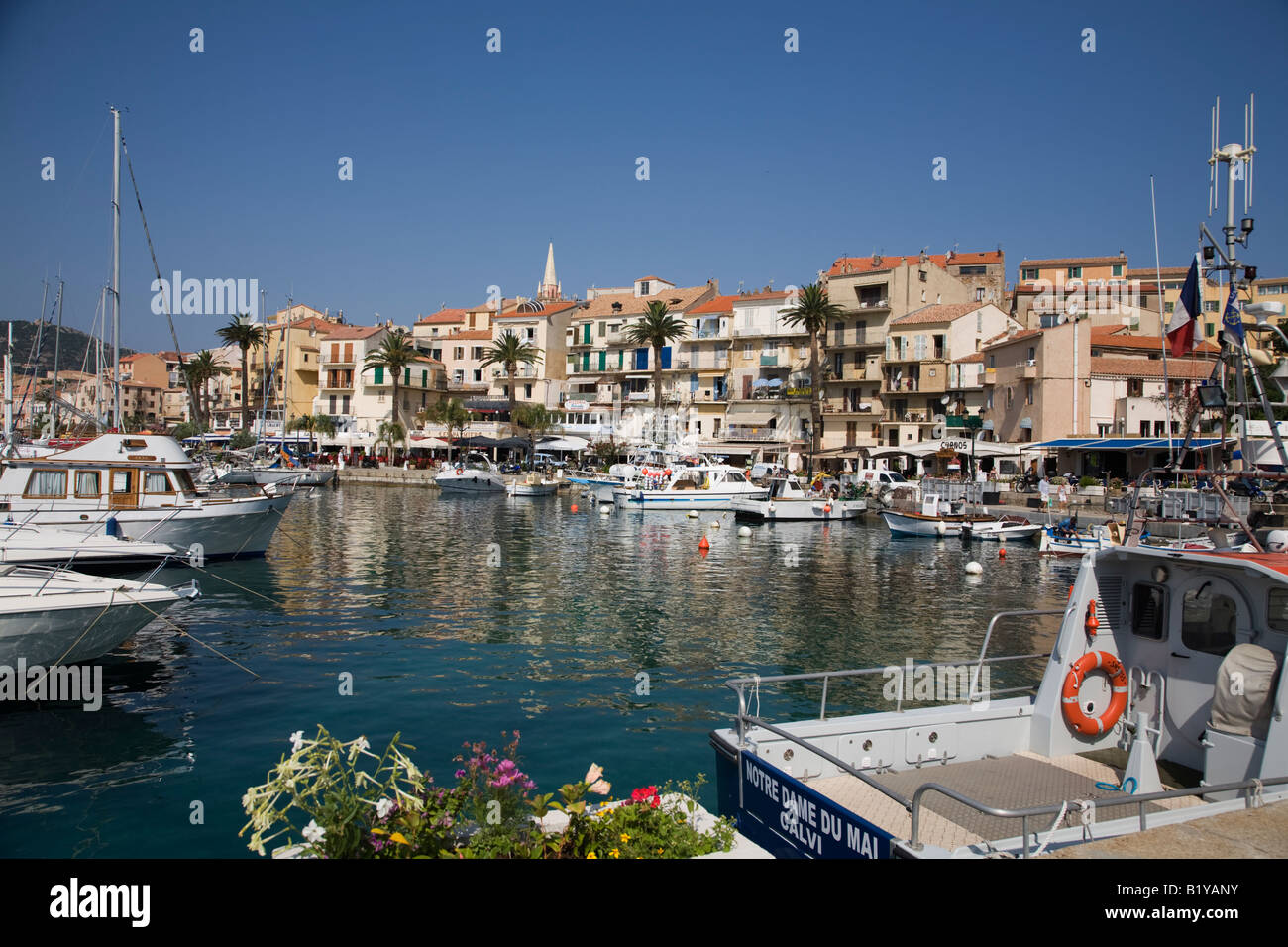The Harbour and town of Calvi Stock Photo - Alamy