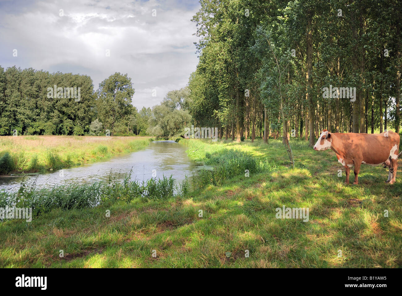 Authie river hi-res stock photography and images - Alamy