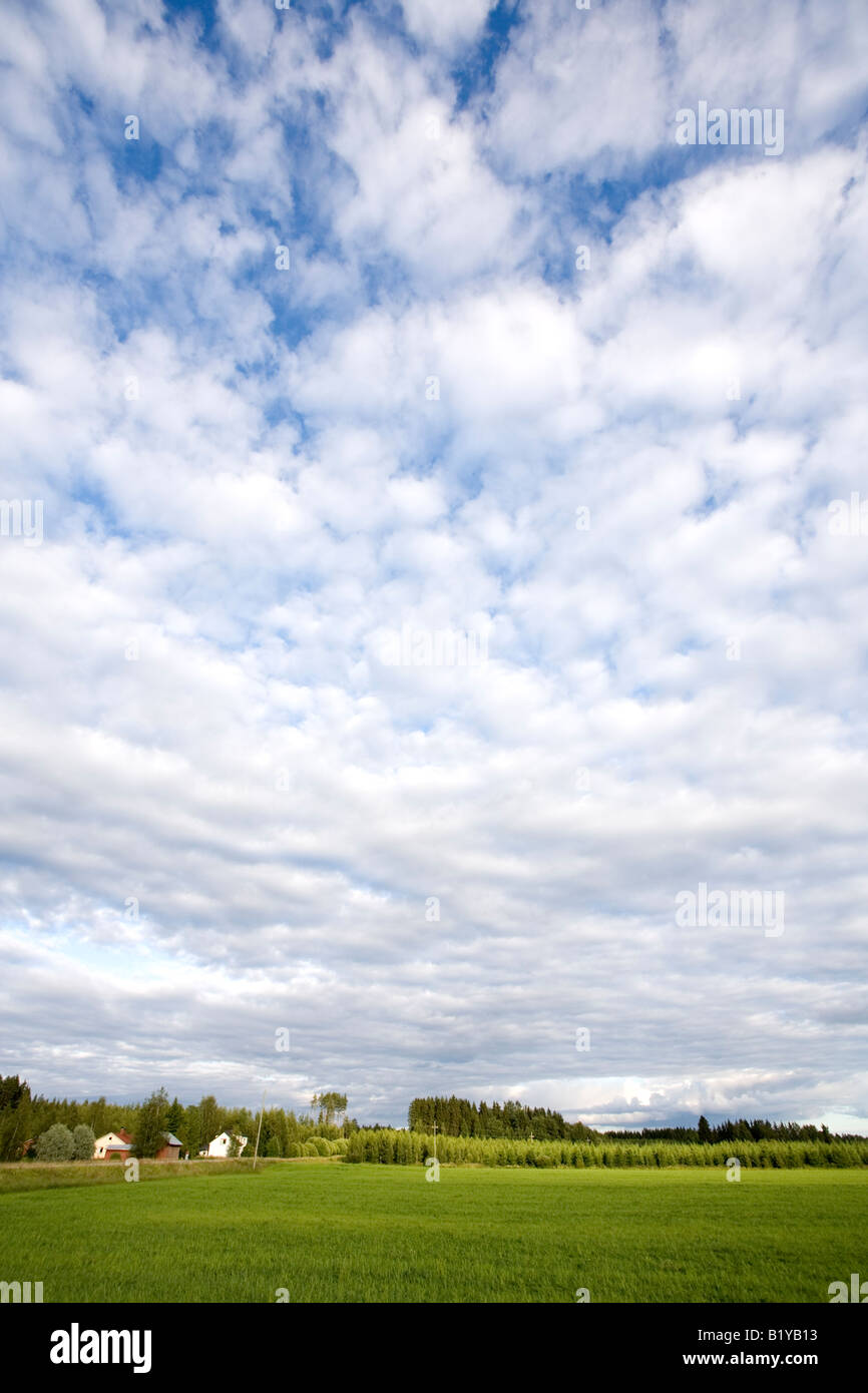 Scene of Finnish countryside and fields , Finland Stock Photo - Alamy