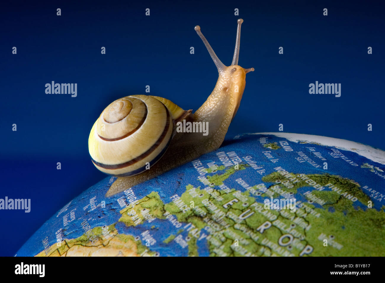 Playing with snail hi-res stock photography and images - Alamy