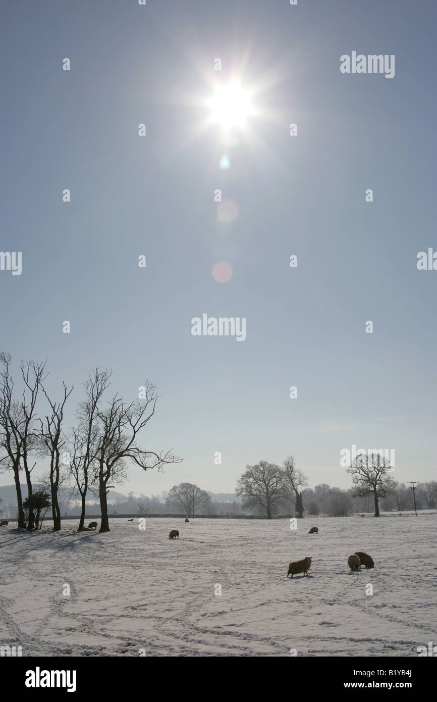 Village of Coddington, Cheshire, England. Winter view of snow lying in ...