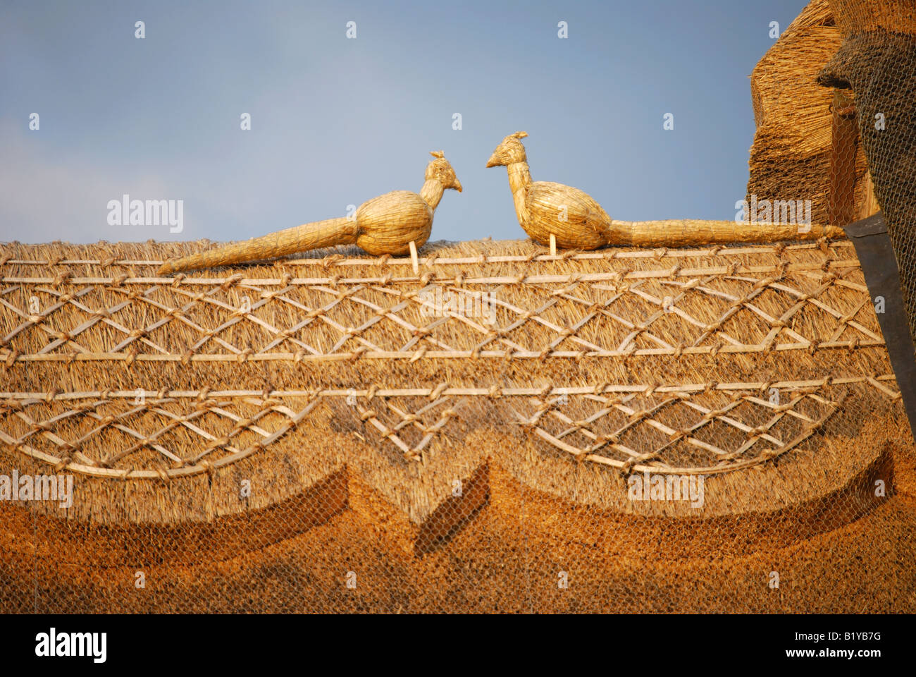 Thatched roof animals england hi-res stock photography and images - Alamy