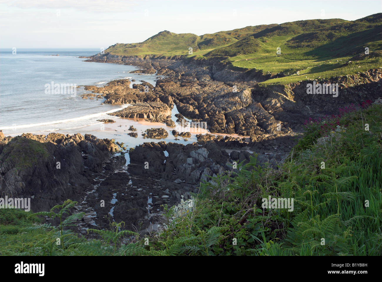 Grunta Beach and Morte Point, North Devon Stock Photo - Alamy