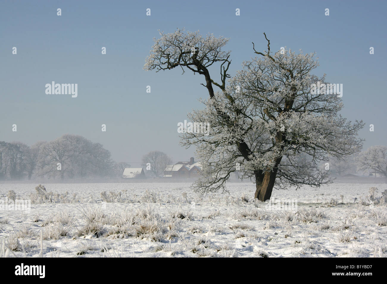Village of Coddington, England. Sunny winter rural snow scene of trees ...