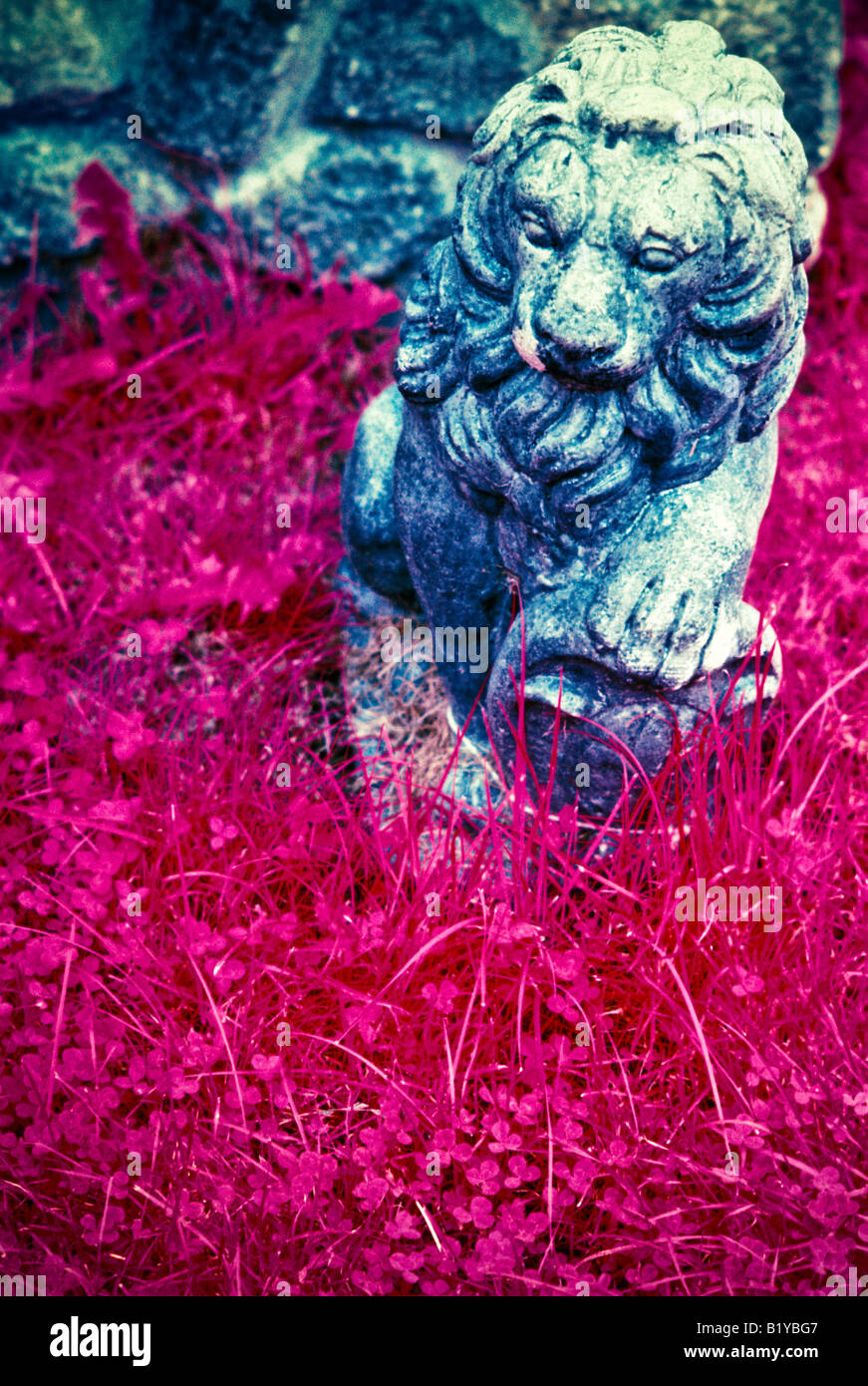 abstract infrared flowers stone statue lion Stock Photo - Alamy