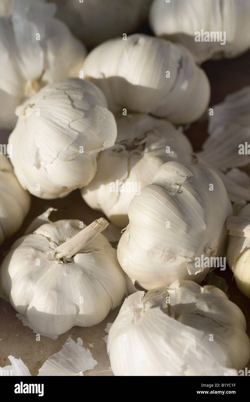 garlic close up Stock Photo - Alamy