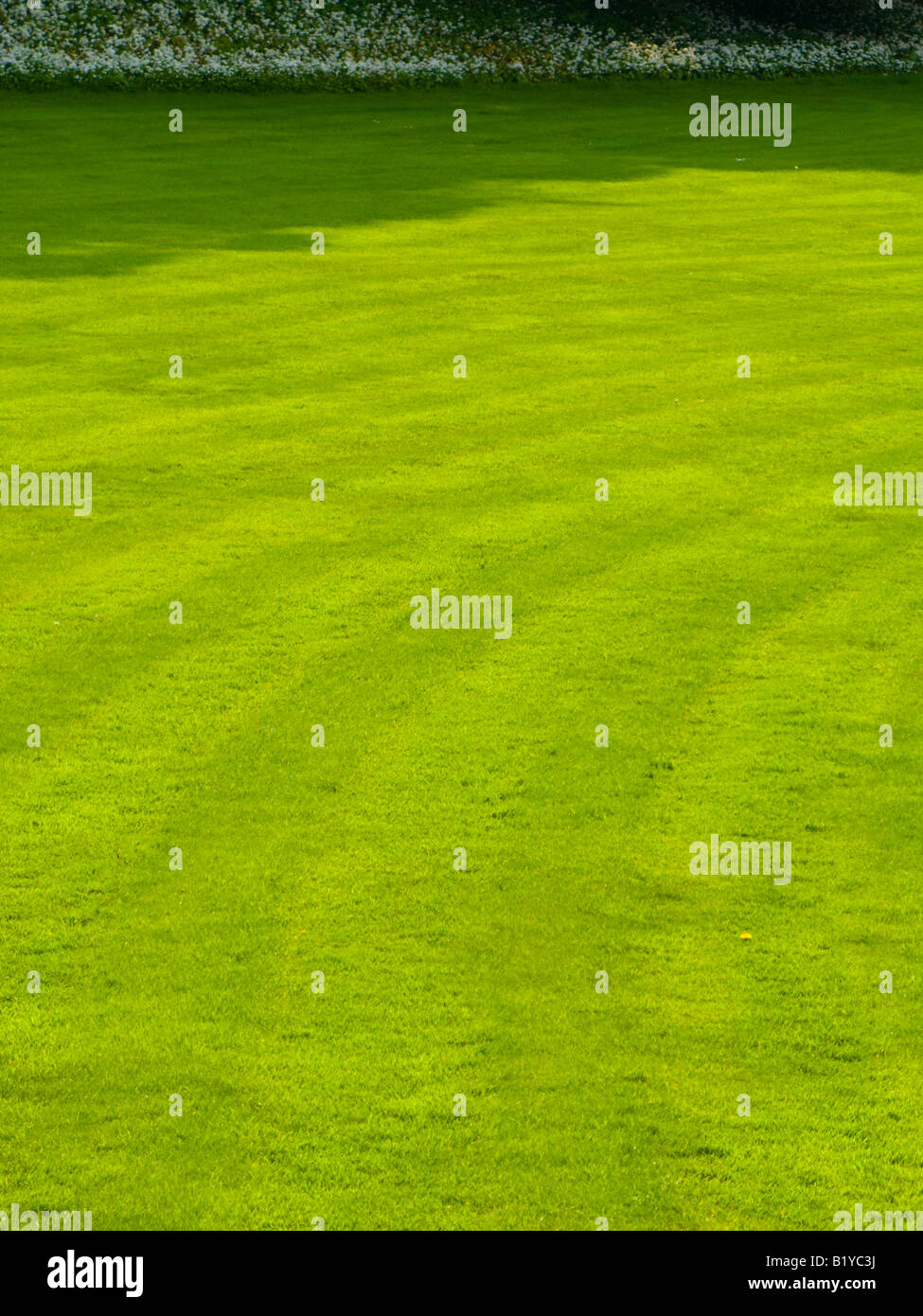 Lawn with mowing lines in the grass Stock Photo - Alamy