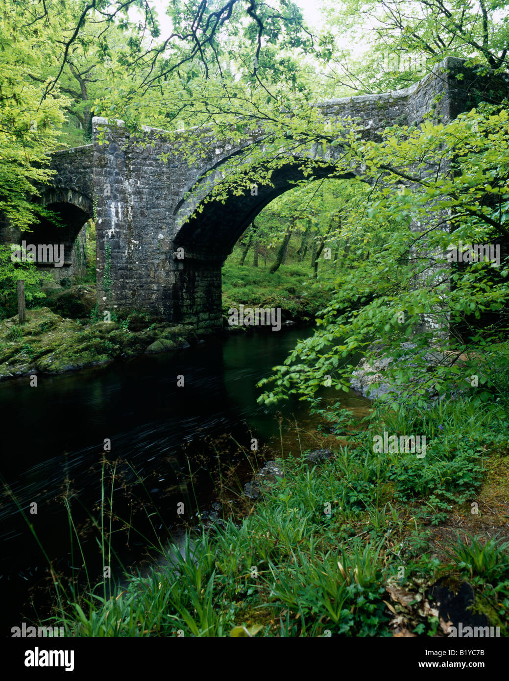 Holne Bridge over the River Dart in Dartmoor National Park in Spring ...