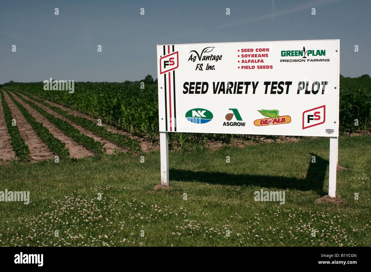 Seed variety test plot shows performance of various seed lines under ...