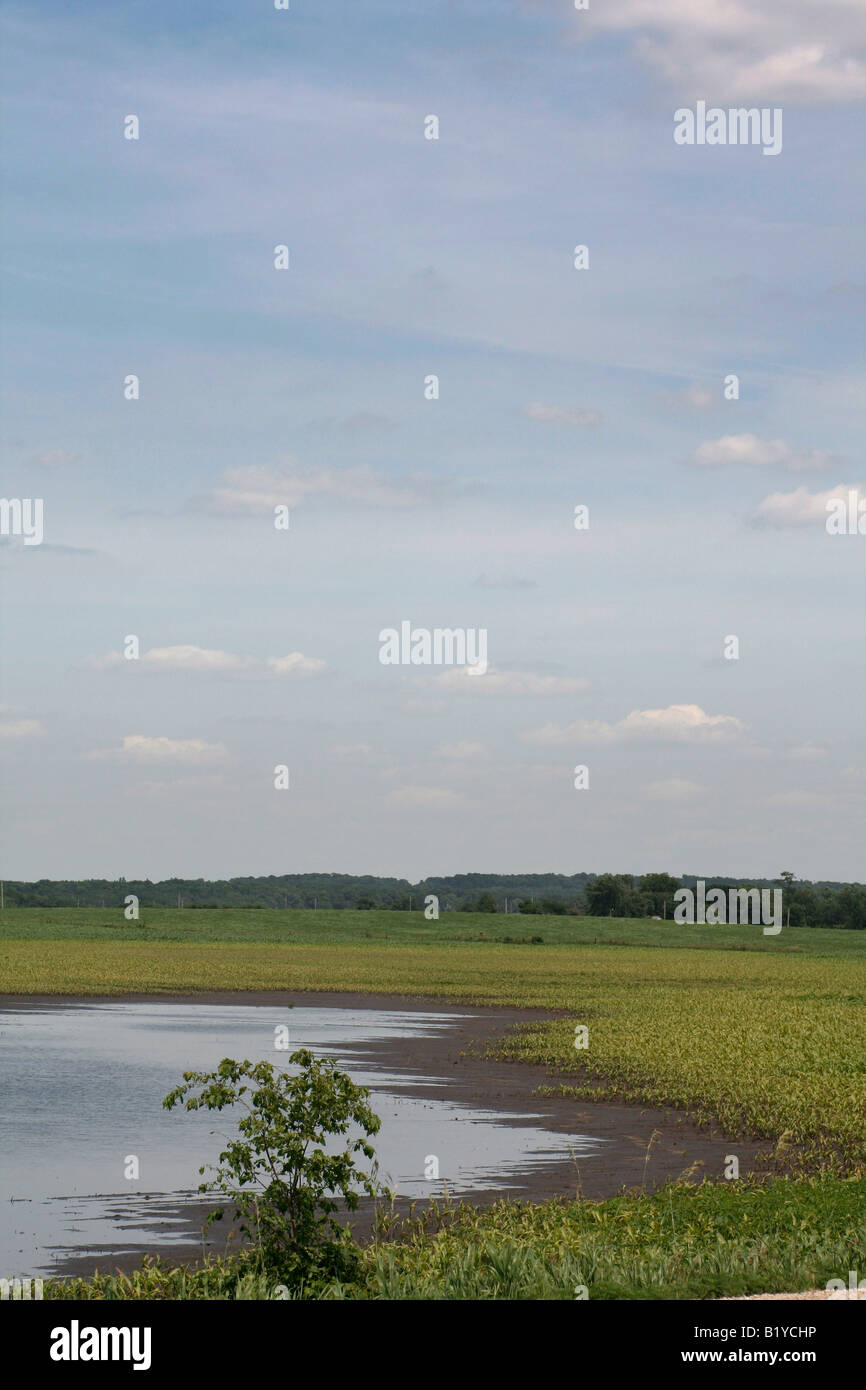 Flooded farm field becomes a lake Stock Photo - Alamy