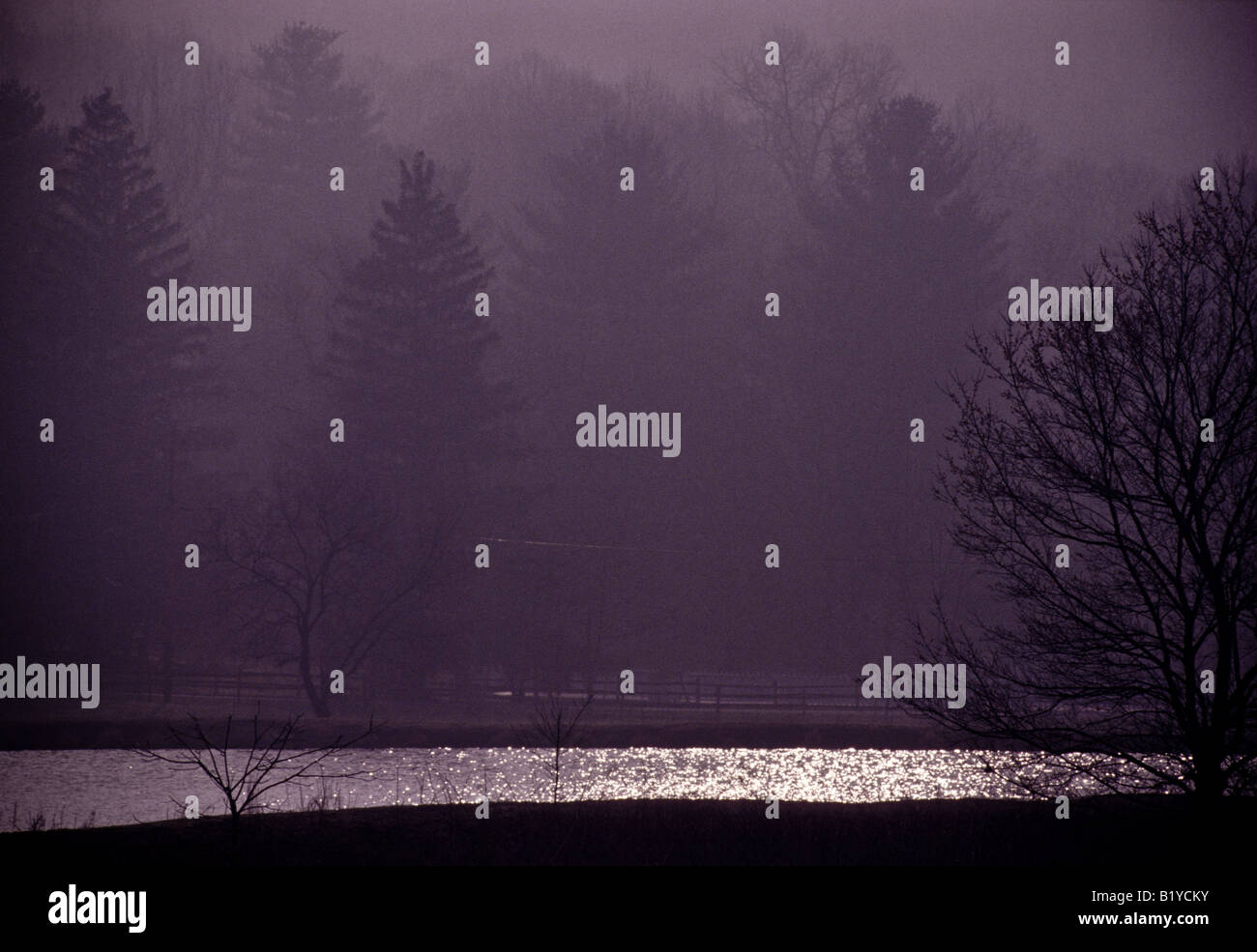 Early morning mist Stock Photo - Alamy