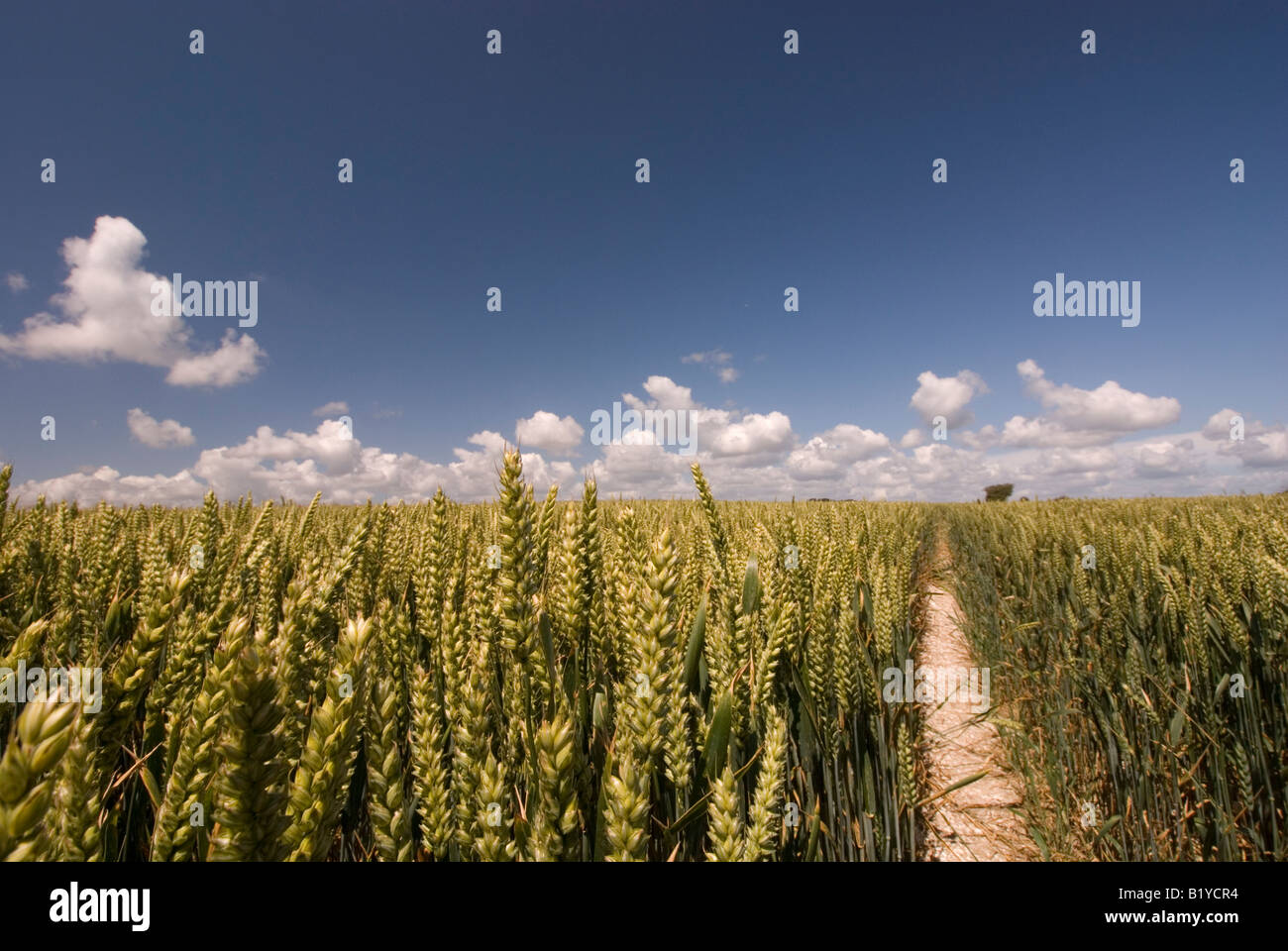South downs farm land hi-res stock photography and images - Alamy