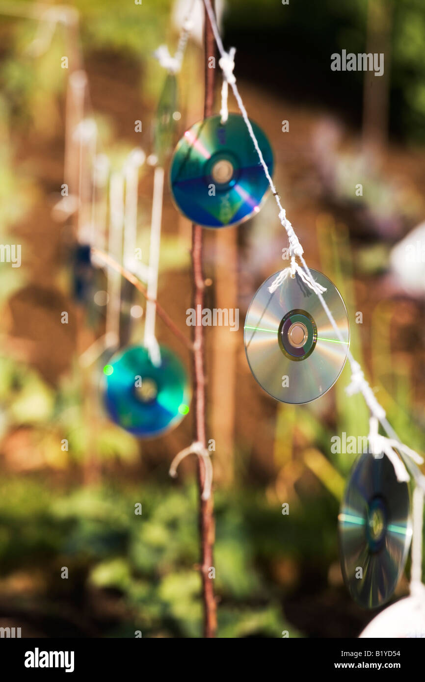 Shiny bird scarer hi-res stock photography and images - Alamy