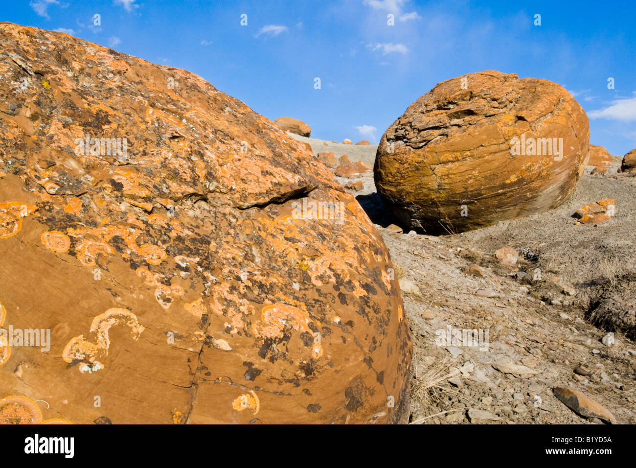 Sandstone concretions in Red Rock Coulee Natural Area, Alberta Stock ...