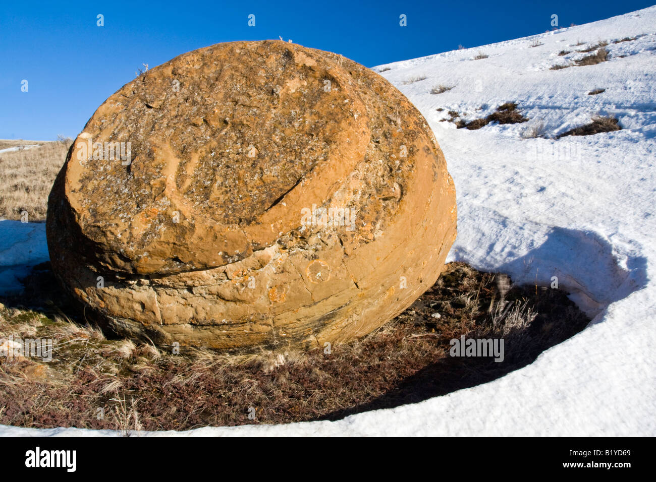 Sandstone concretions in Red Rock Coulee Natural Area, Alberta Stock ...