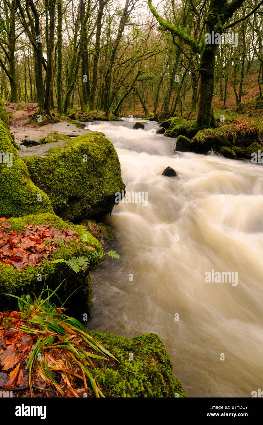 Goliath falls Cornwall Stock Photo - Alamy