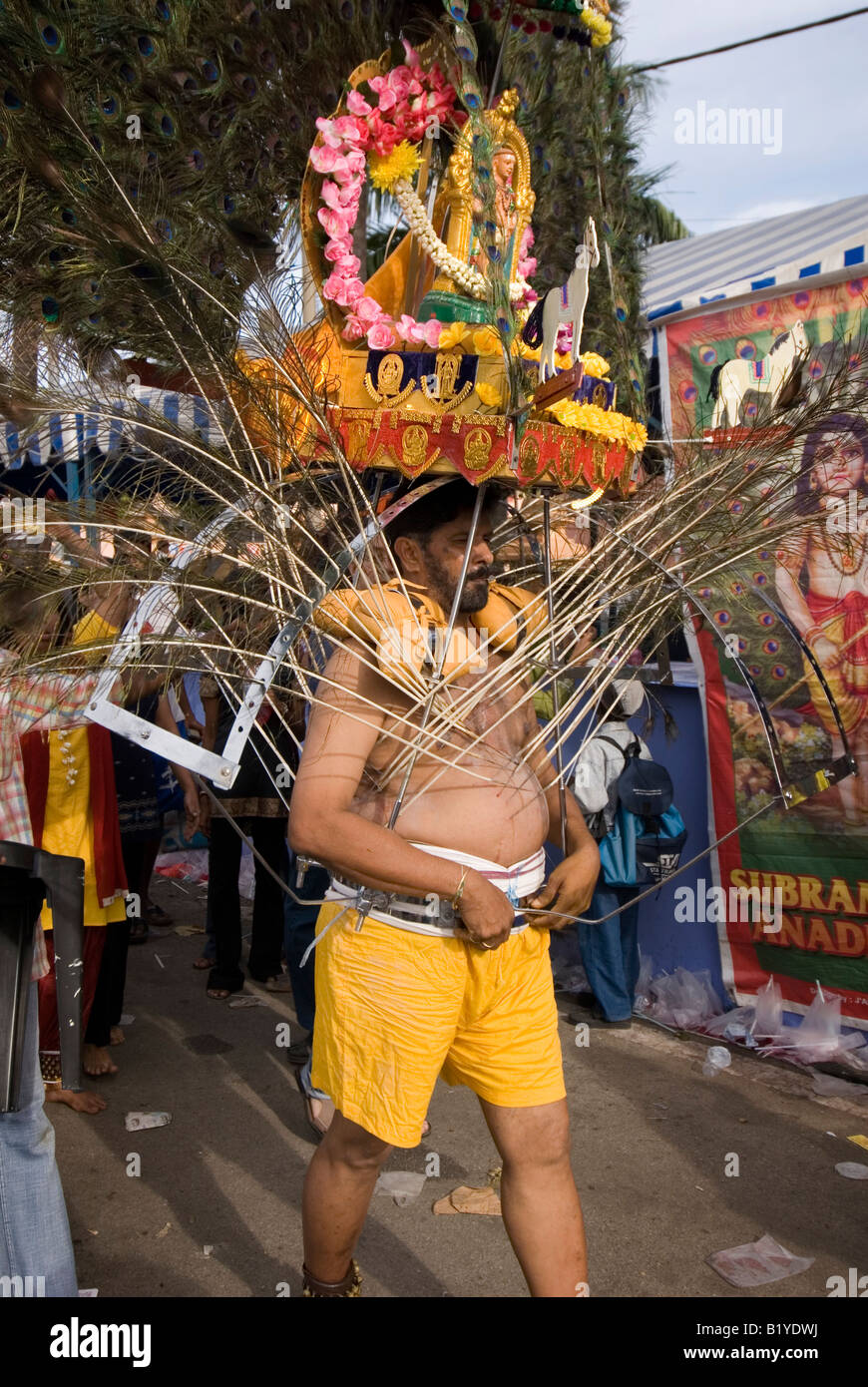 DEVOTEE KAVADI BEARER AT THE ANNUAL HINDU FESTIVAL OF THAIPUSAM BATU ...