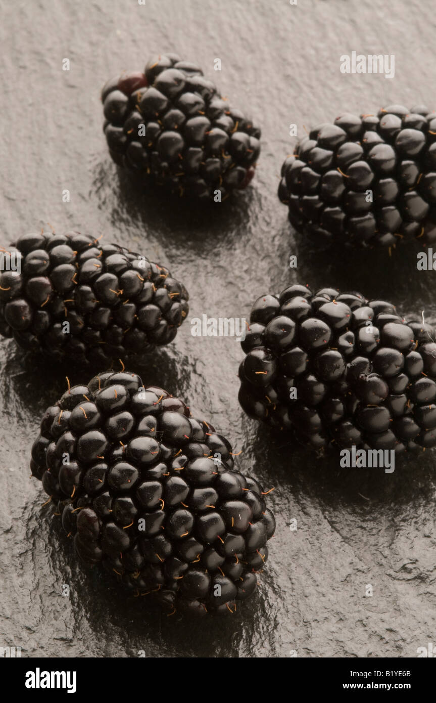 Mora berry hi-res stock photography and images - Alamy